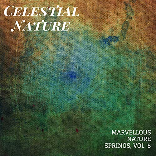 Play Celestial Nature - Marvellous Nature Springs, Vol. 5 by Rain ...