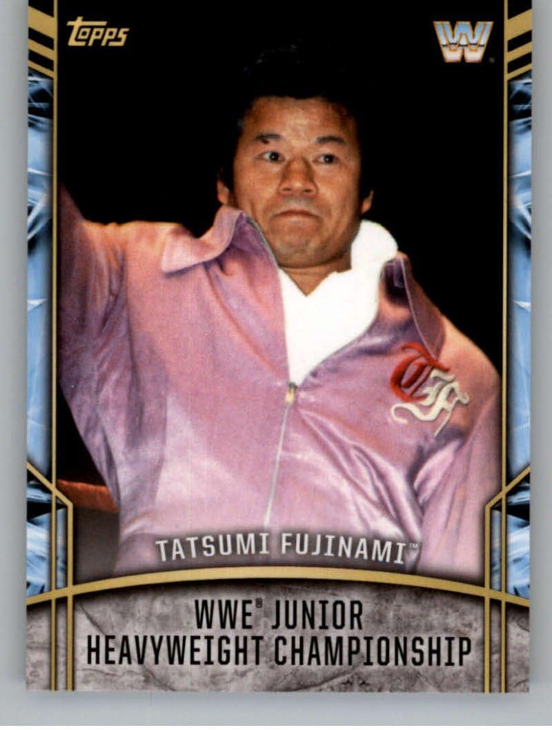 Amazon.com: 2017 Topps Legends of WWE Retired Titles #18 Tatsumi ...