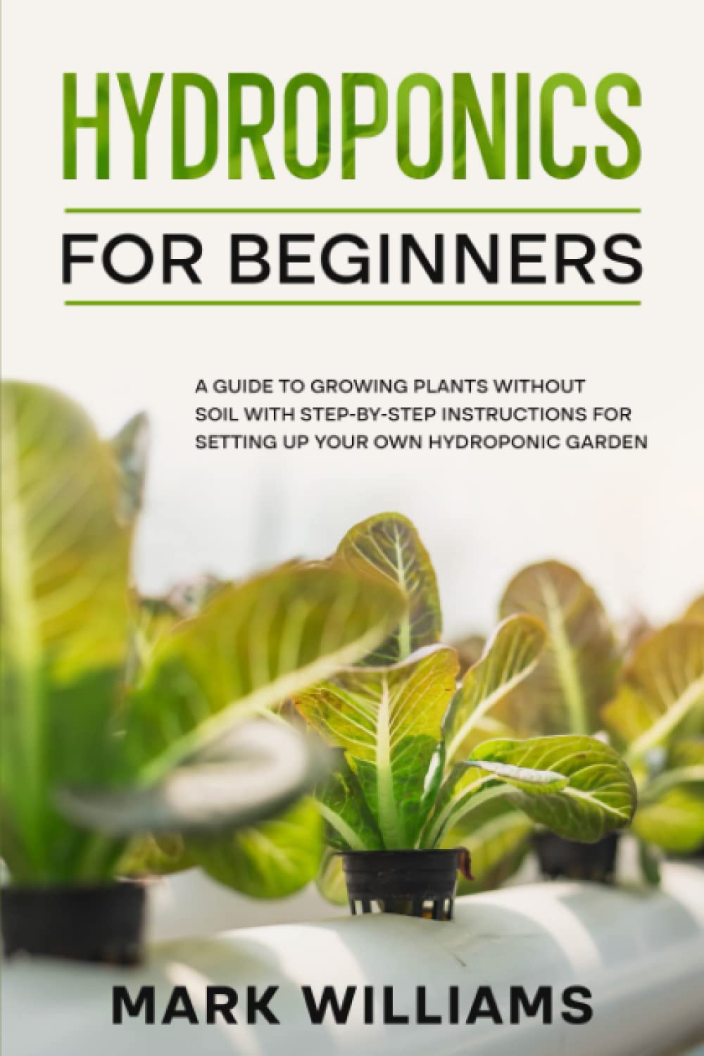 Amazon.com: Hydroponics for Beginners: A Guide to Growing Plants ...