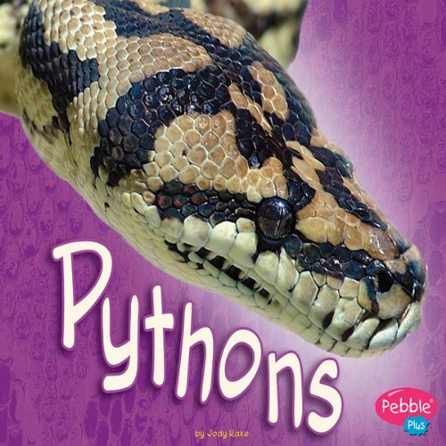 Pythons (Pebble Plus: African Animals): Rake, Jody Sullivan ...
