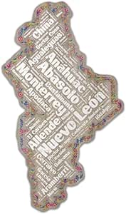 Amazon.com - Nuevo Leon and its Municipalities Decal Mexico Letters Car Truck Window Laptop Map ...