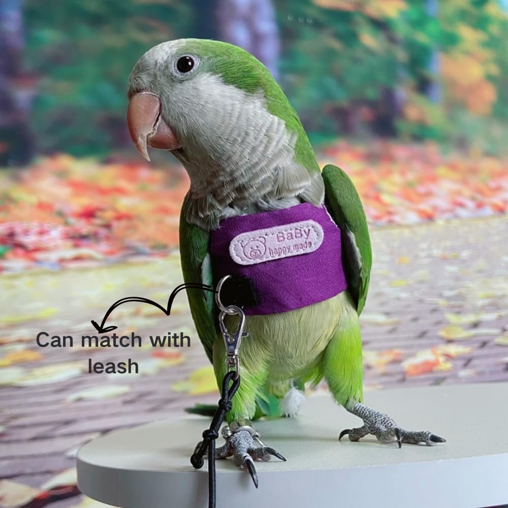Parrot Flight Suit Bird Flight Harness & Leash For Parakeets & Small ...