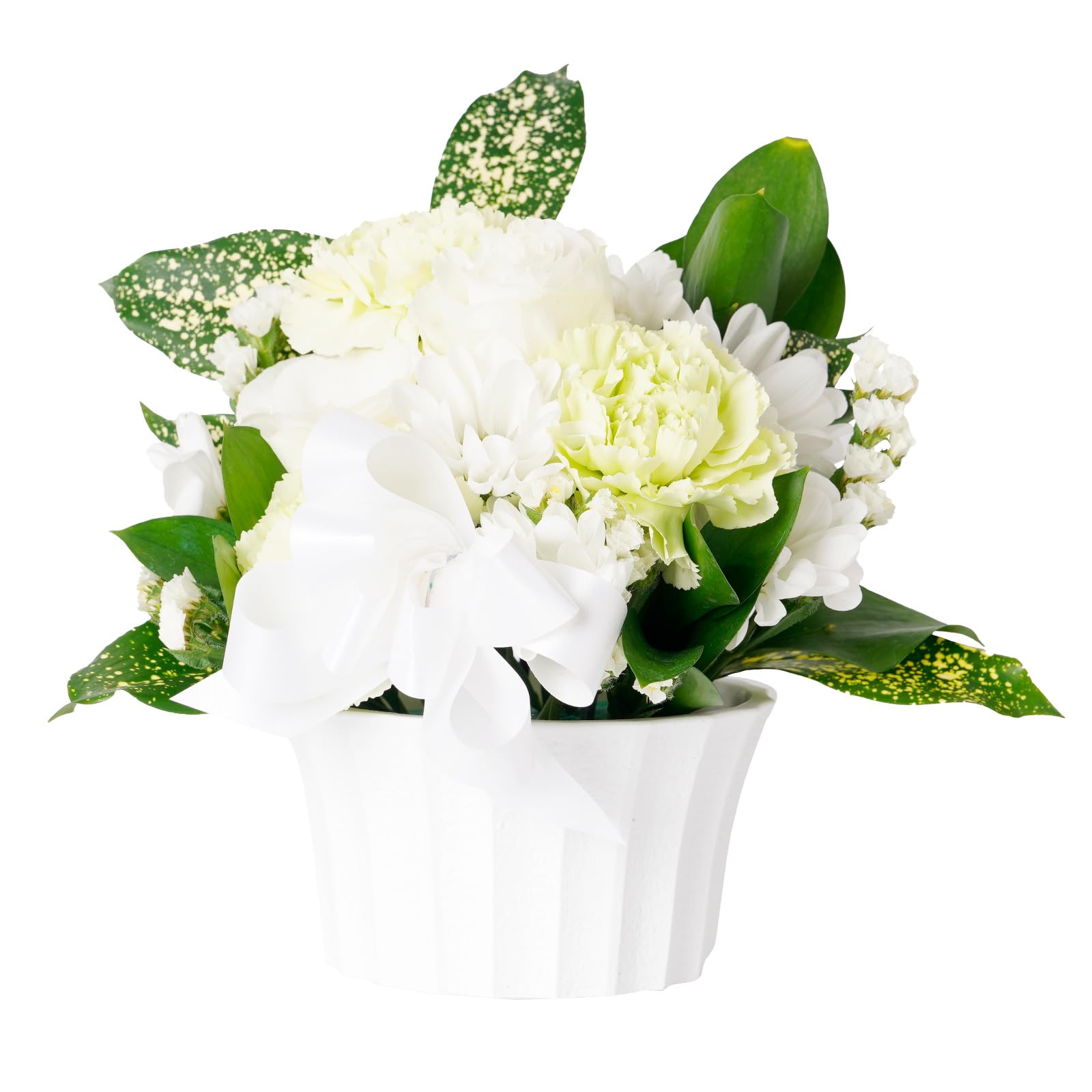 Amazon｜仏花アレンジメント(白)XS ブルーミー bloomee ブーケ お供え お悔やみ 命日 生花 お盆 初盆 新盆 お彼岸 法事 仏事 一周忌 祥月命日 月命日 初七日 四十九日 ...