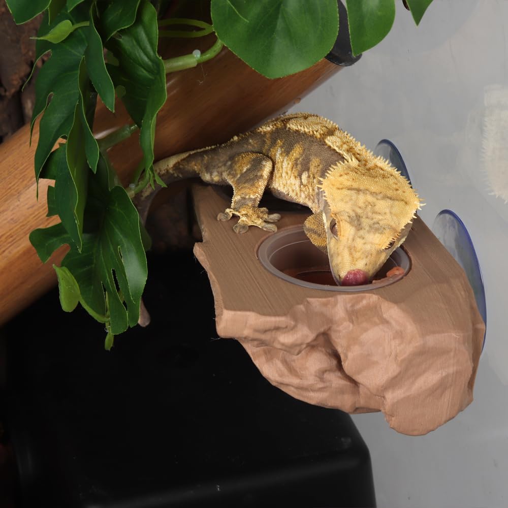 Snake Water Bowl Rumyve 2PCS Reptile Feeder,Double Bowl Plastic ...