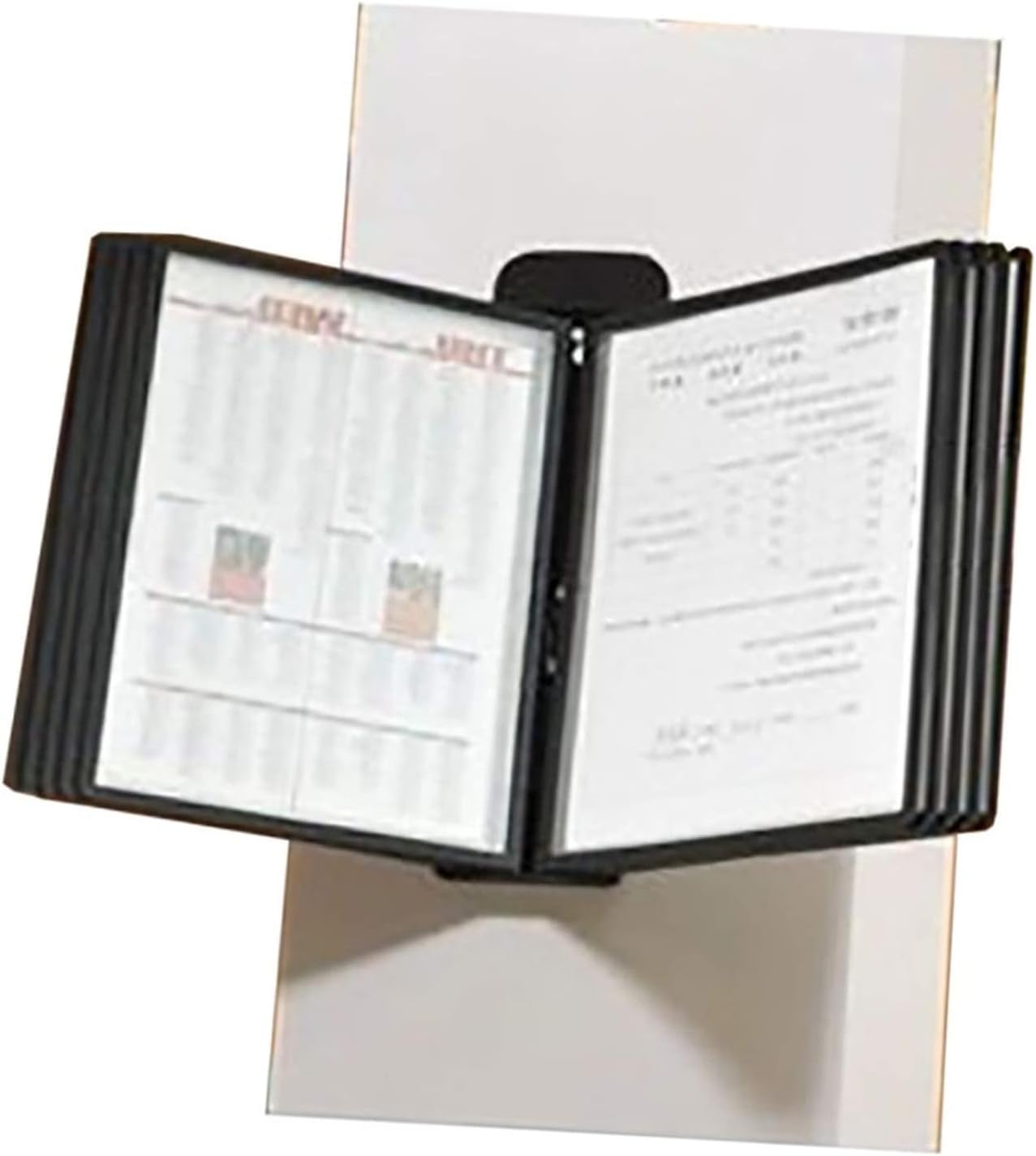 Amazon.com: Wall Mount Reference and Display System - Wall Mount ...