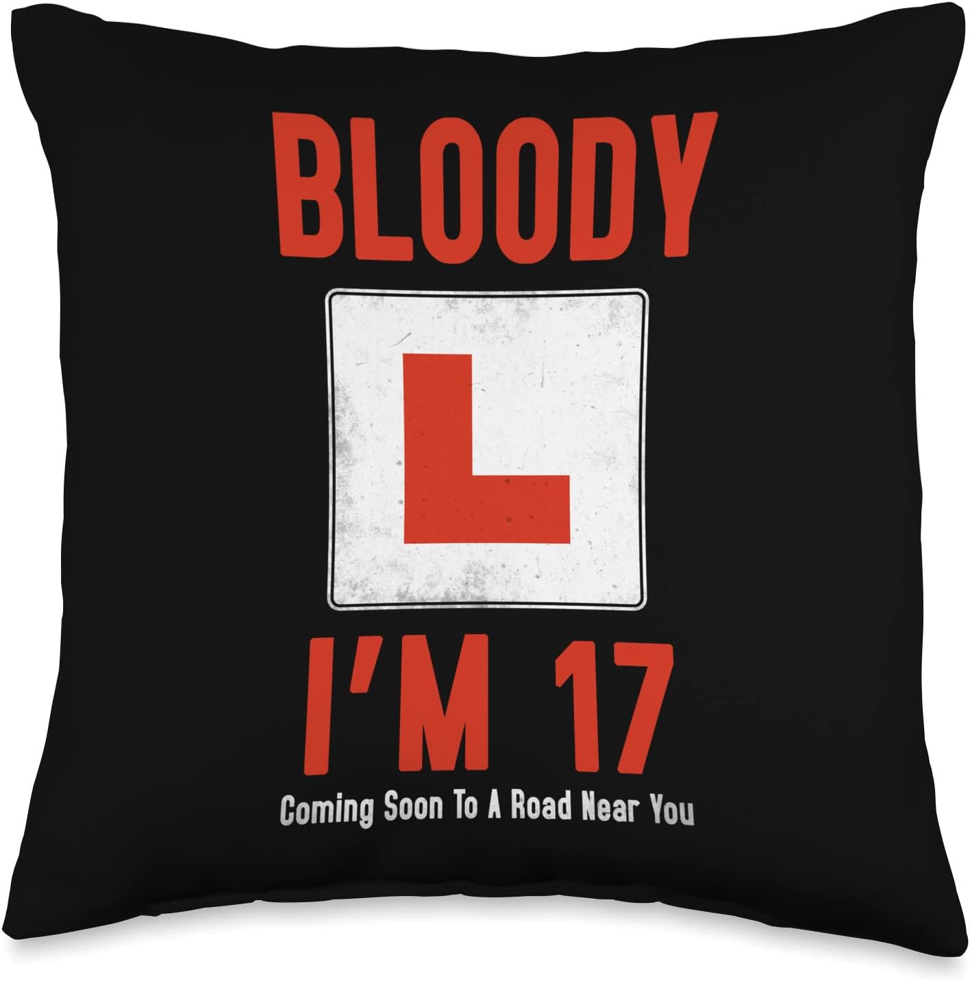 Amazon.com: Learner Driver My 17th Birthday Driving Lessons Learner ...