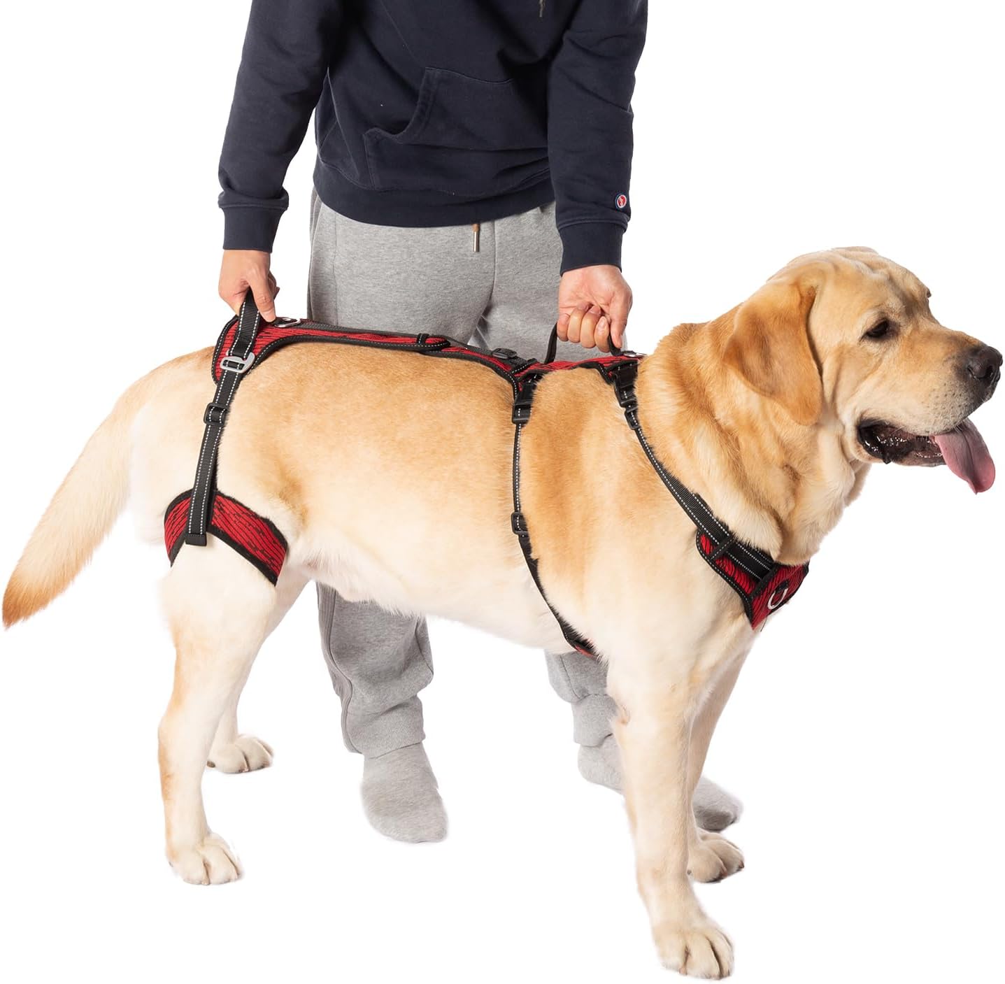 PetSafe CareLift Support Harness - Full Body Lifting Aid with Handle ...