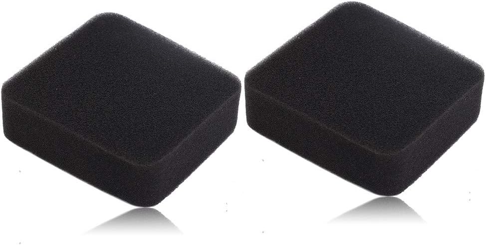 Amazon.com : 3004156 Air Filter for Earthquake 43CC Viper Engine E43 ...