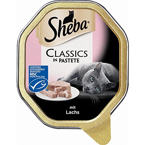 Sheba Mousse – Die 16 besten Produkte im Vergleich - Haustierratgeber ...