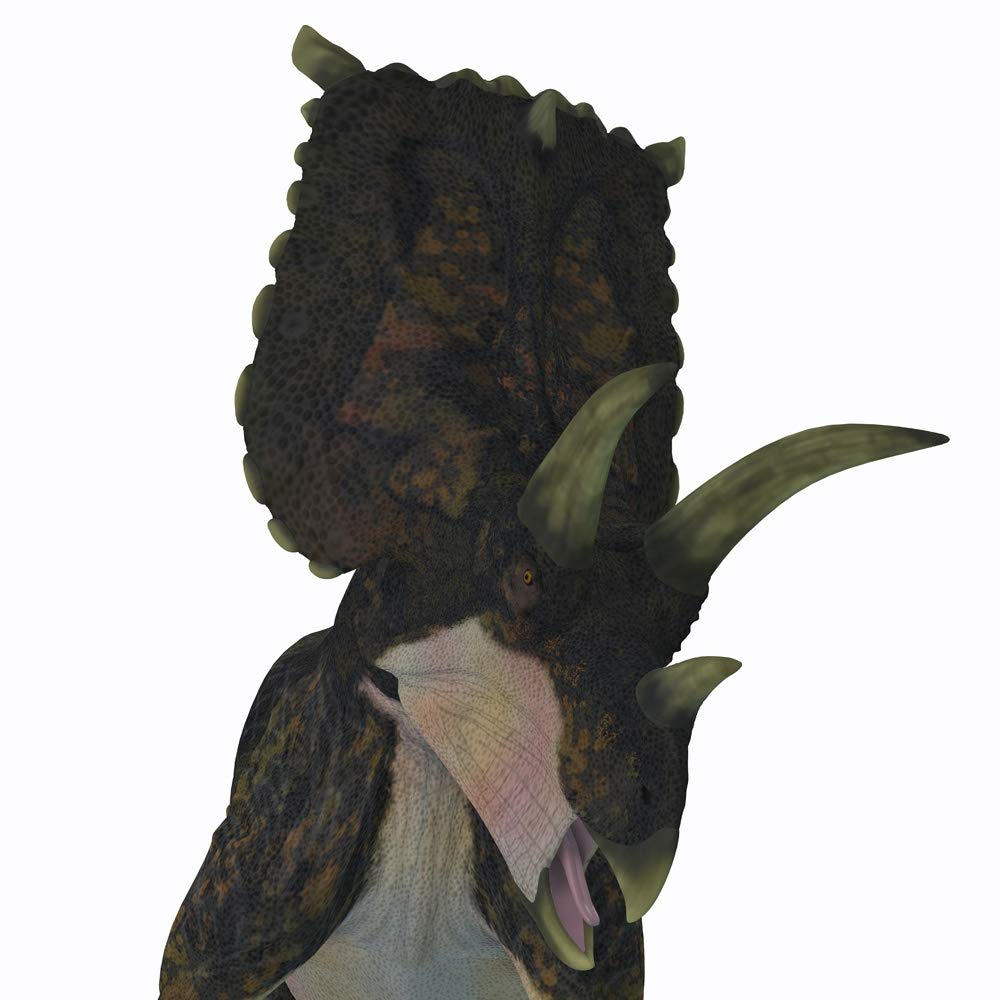 Bravoceratops