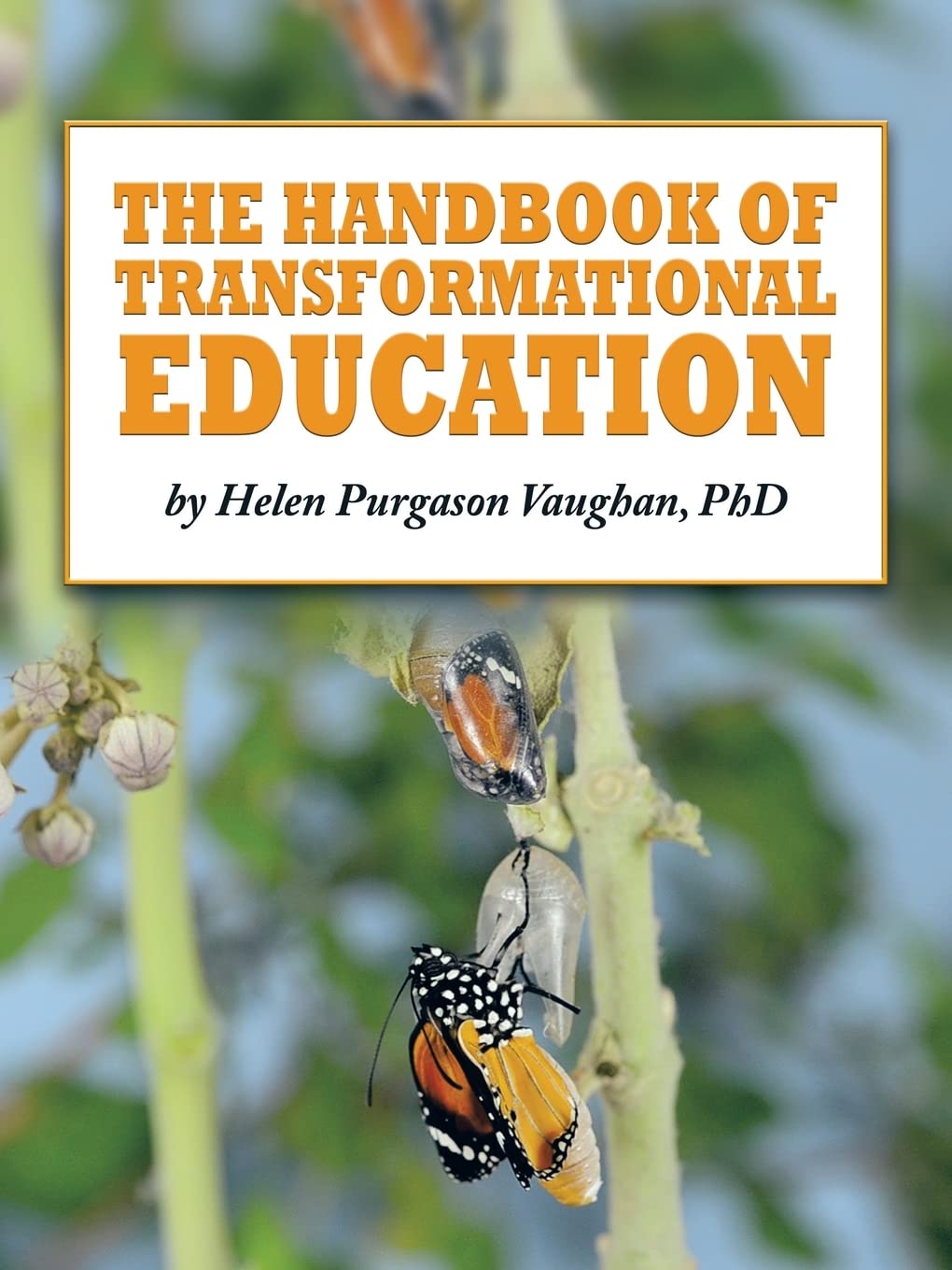 The Handbook of Transformational Education: Vaughan, Helen Purgason, Ph ...