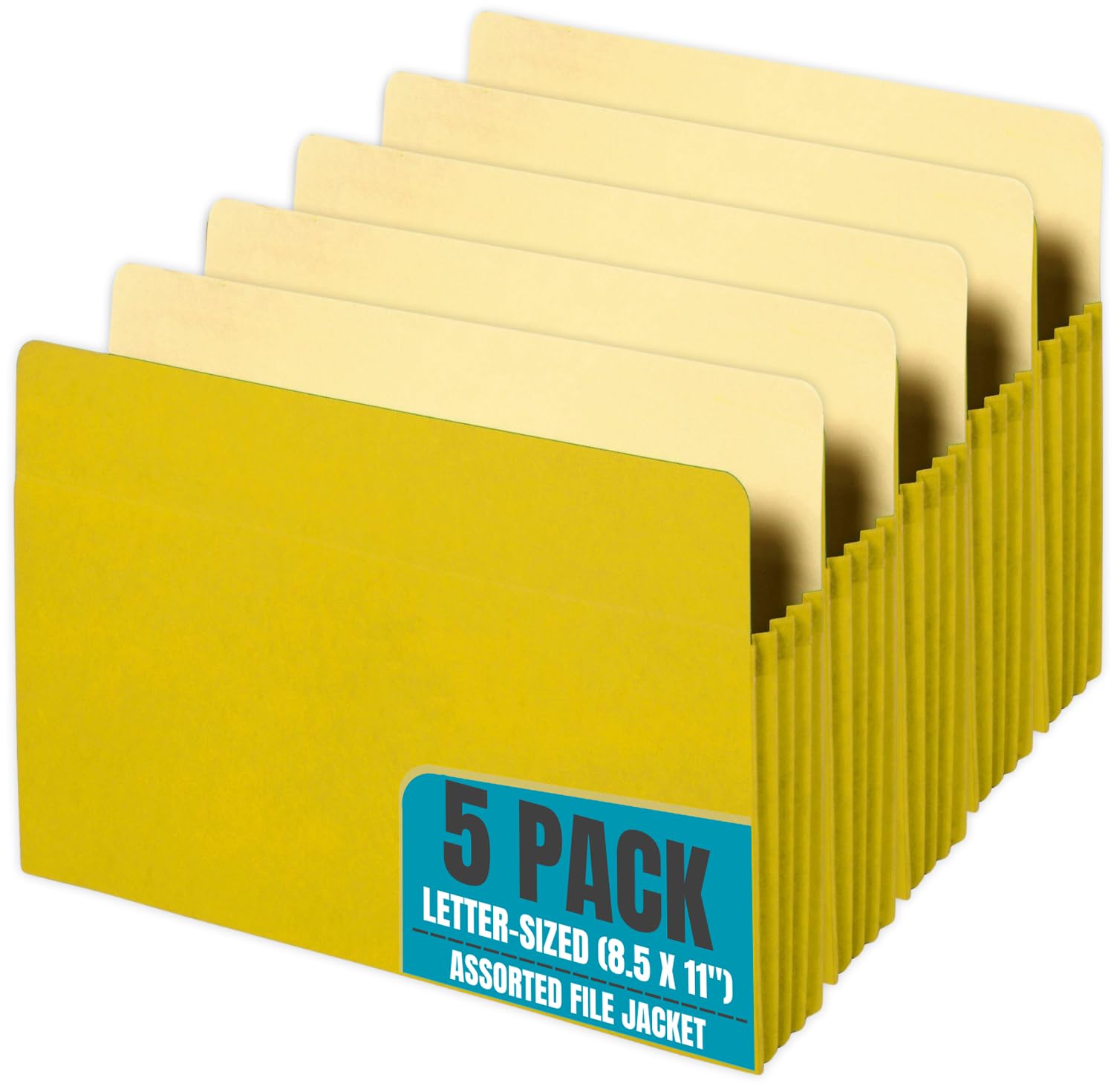 Amazon.com : 1InTheOffice File Jackets, File Jackets Letter Size, File ...