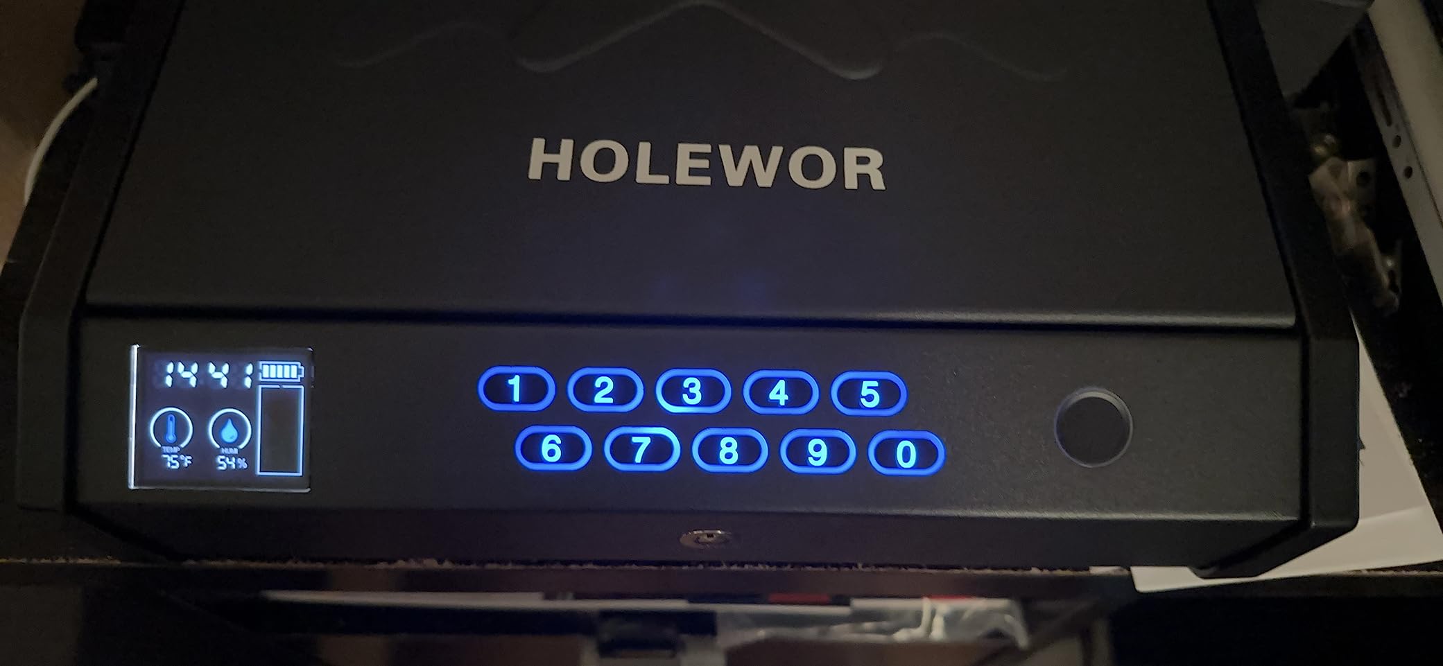 $17/mo - Finance HOLEWOR Gun Safe, Biometric Gun Safes for Pistols with ...