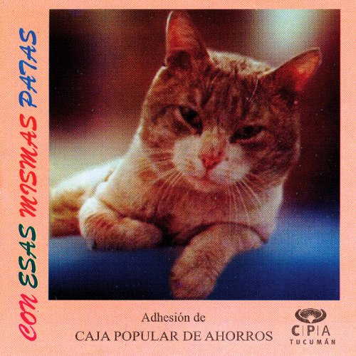 Play Con Esas Mismas Patas by Simon Fernandez on Amazon Music