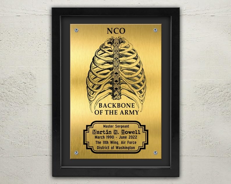 Amazon.com: Personalized NCO Backbone of the Army Framed Plaque ...