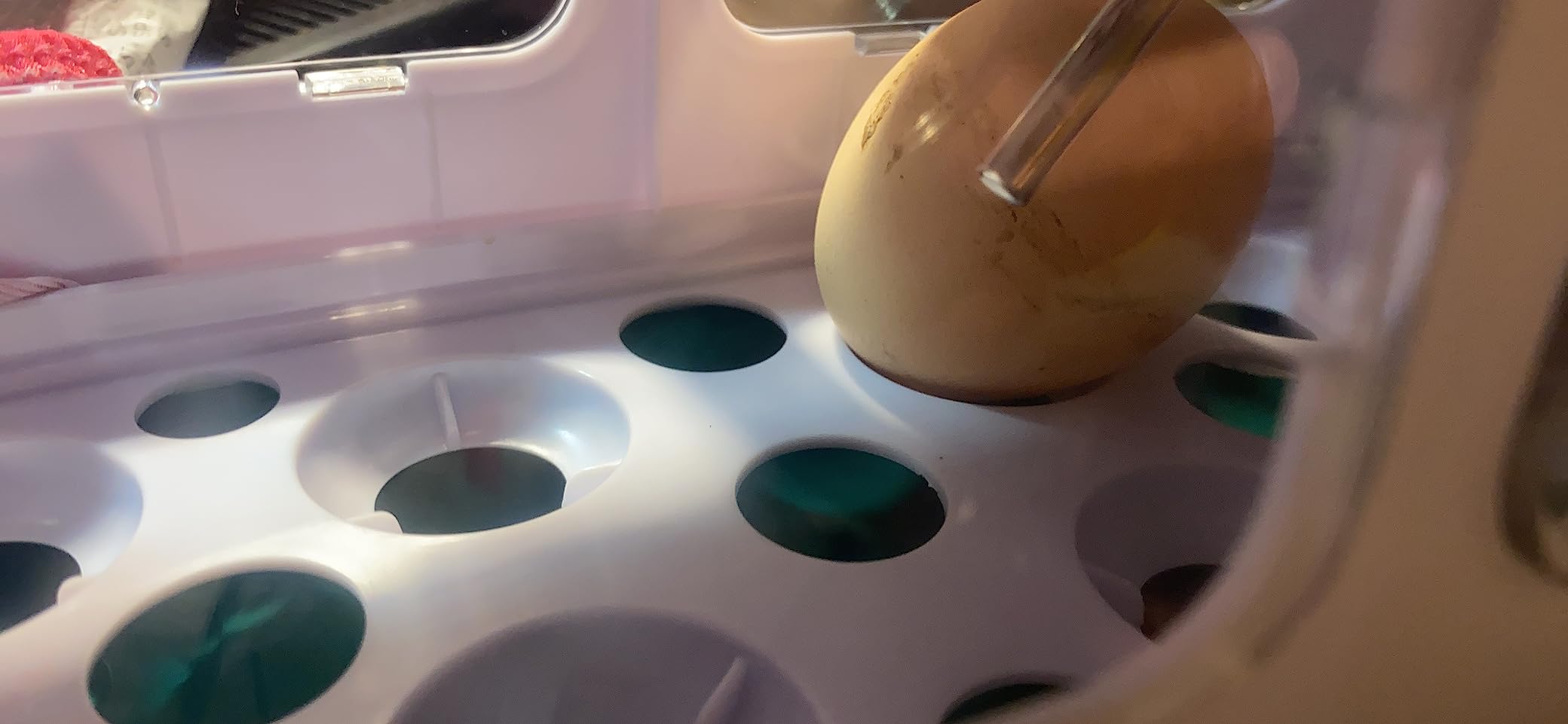 $7/mo - Finance Chicken Egg Incubator, Automatically Control Humidity ...
