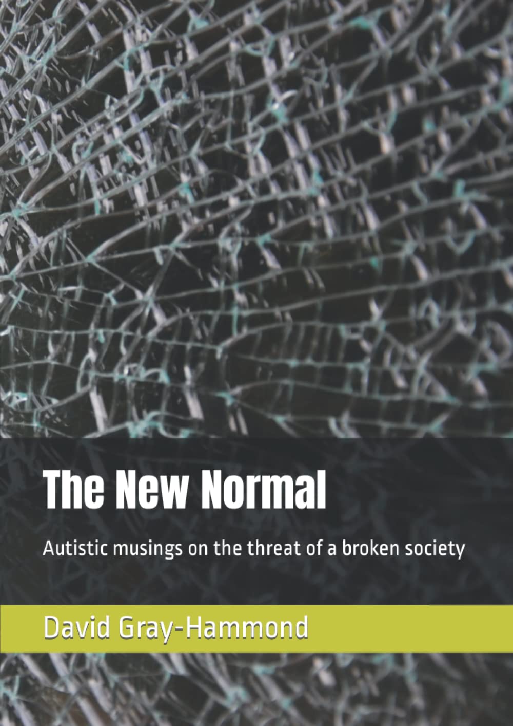 Amazon.com: The New Normal: Autistic musings on the threat of a broken ...