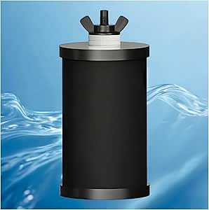 Amazon.com: 2387 Pro Filter Compatible with Alexapure Water Filter ...