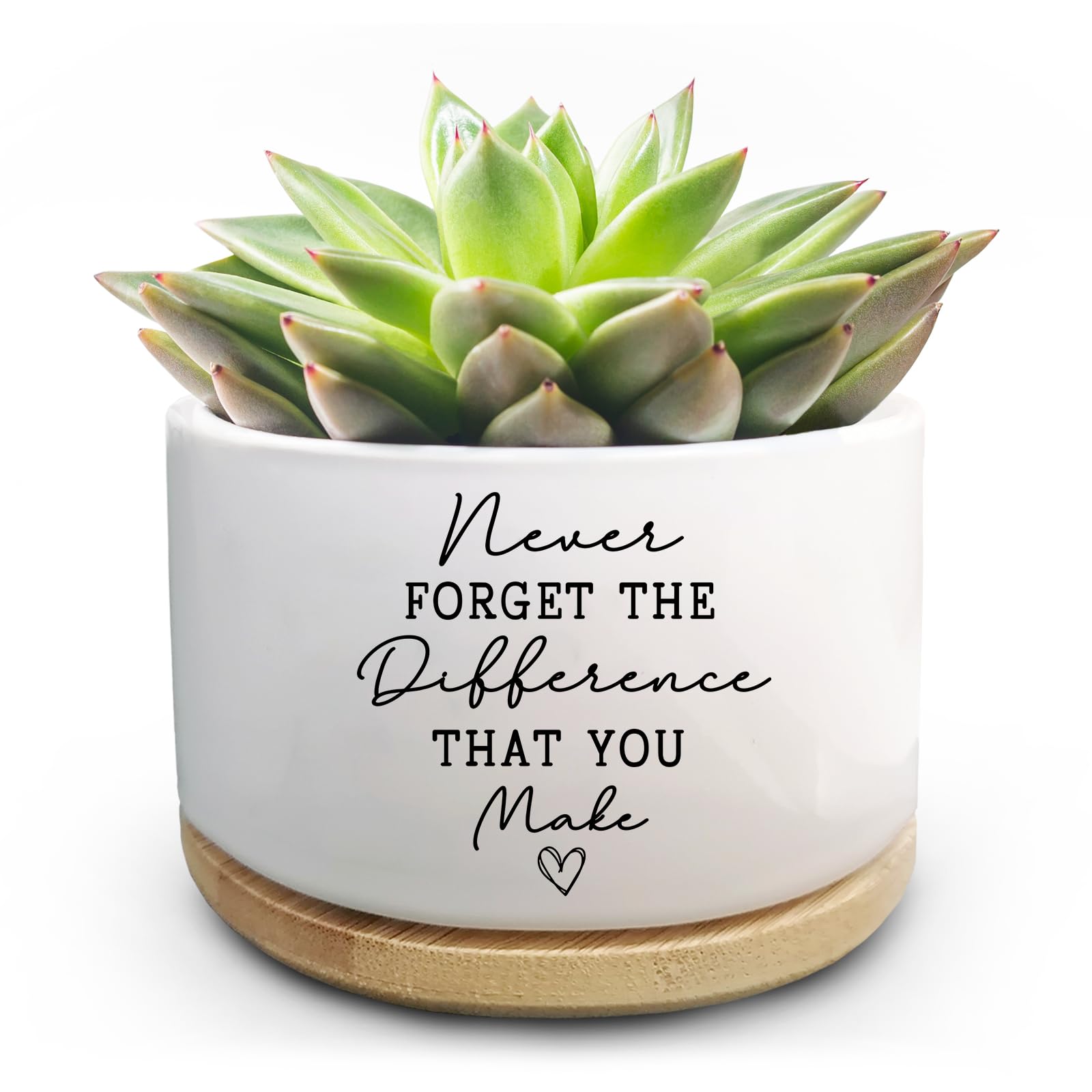 Amazon.com : Jutasty Coworker Thank You Gifts, Funny Succulent Plant ...