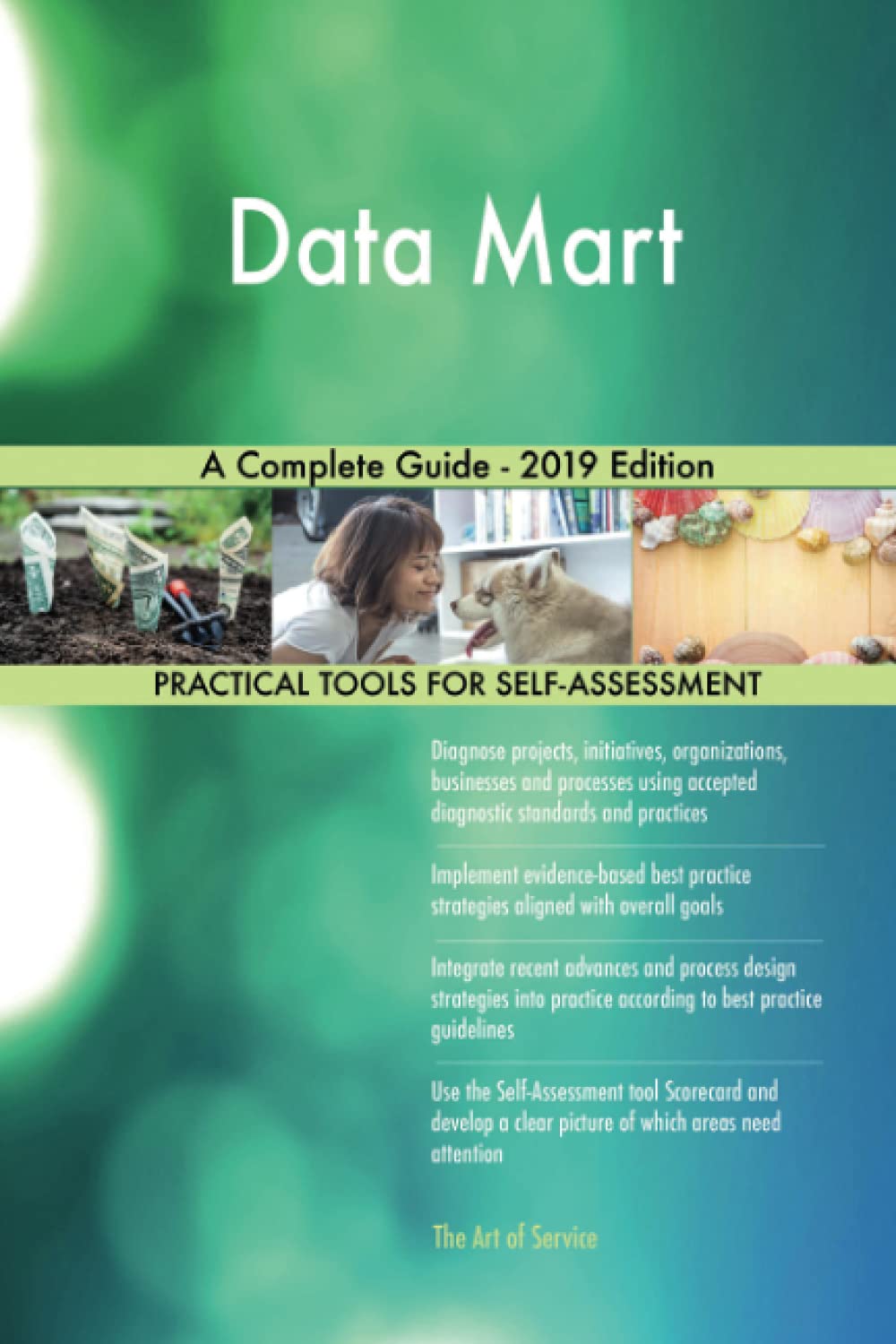 Amazon.com: Data Mart A Complete Guide - 2019 Edition: 9780655537267 ...