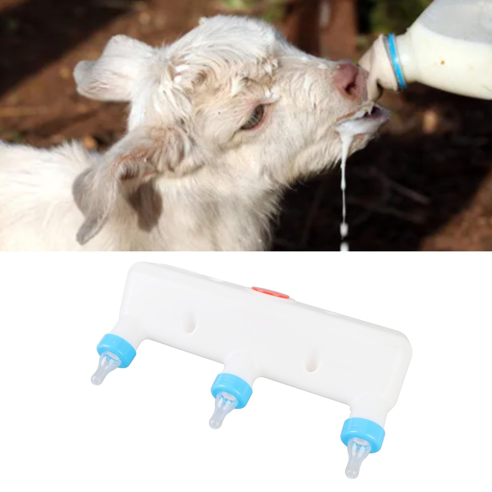 3-pacifier Livestock Feeder 3L Animal Milk Feeder With Pacifier - Lamb ...