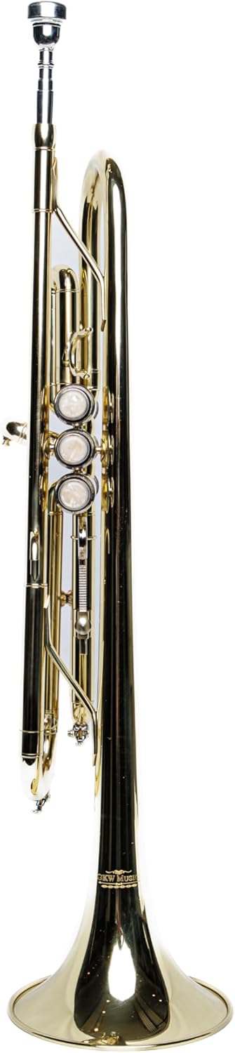 Amazon.com: GKW Bb Standard Brass Trumpet for Beginner and Intermediate ...