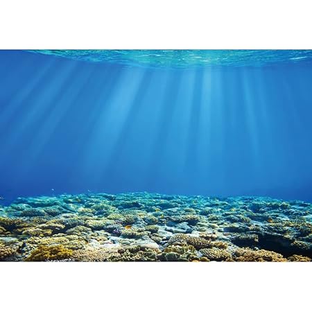 Amazon.com : Renaiss 7x5ft Underwater World Backdrop Undersea Sunlight ...