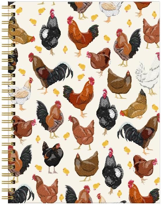 Amazon.com : DHGPTS Spiral Journal Notebook, A5 Cute Notebooks for ...