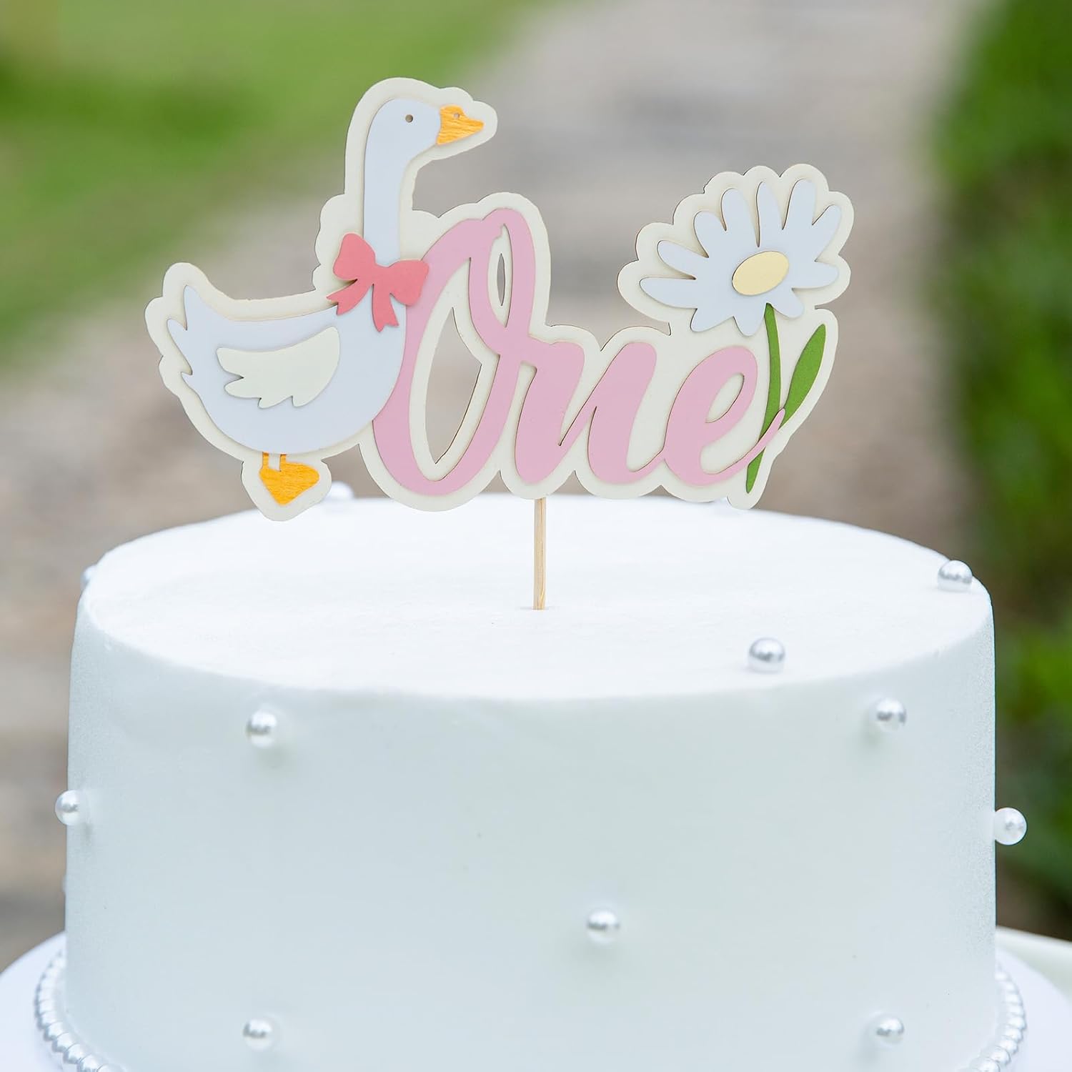 Amazon.com: One Silly Goose Cake Topper - Girls 1st Birthday ...