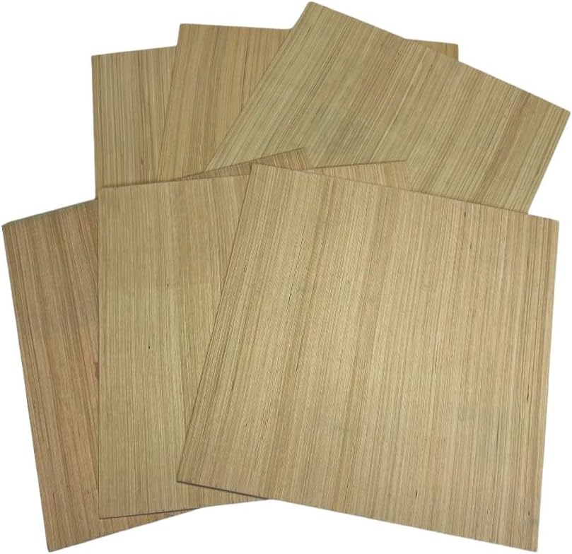 Amazon.com: Anhsbro Unfinished Wood Sheet Bundle Pack Thick DIY Craft ...