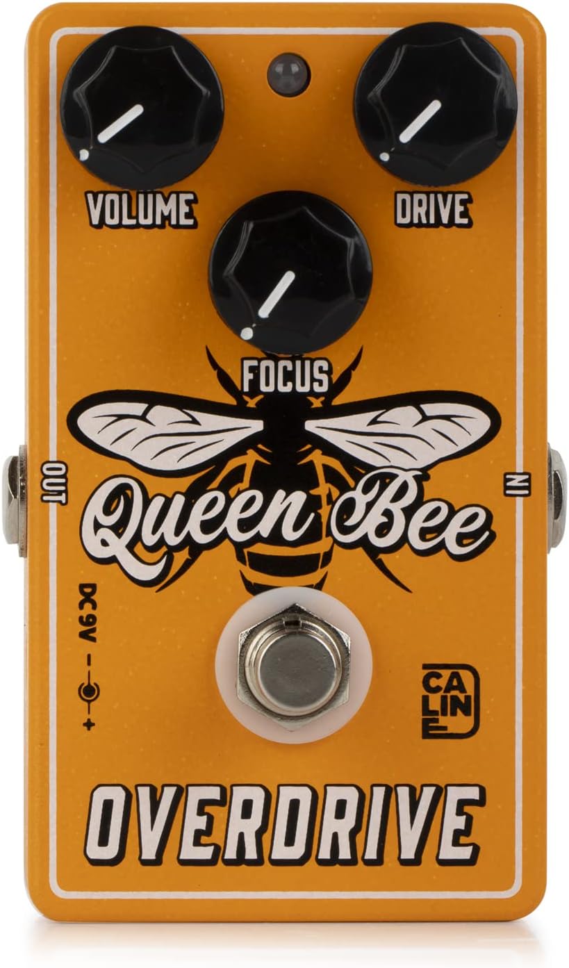 Amazon.com: Caline CP-503 Queen Bee Overdrive Floor Effect Device ...