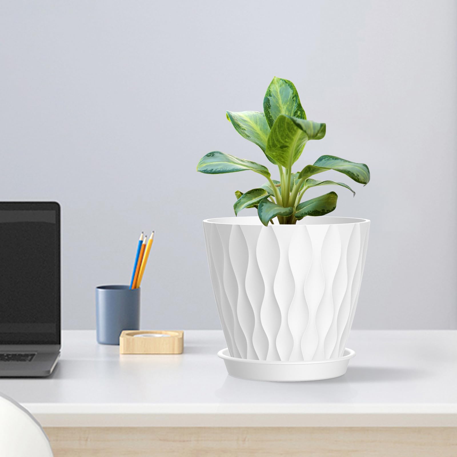 Snapklik.com : Meowell 6 Inch Flower Pots, 5 Pack Plant Pots For Indoor ...