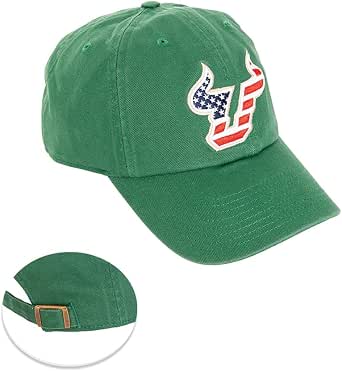 Amazon.com: Desert Cactus University of South Florida Baseball Hat USF ...