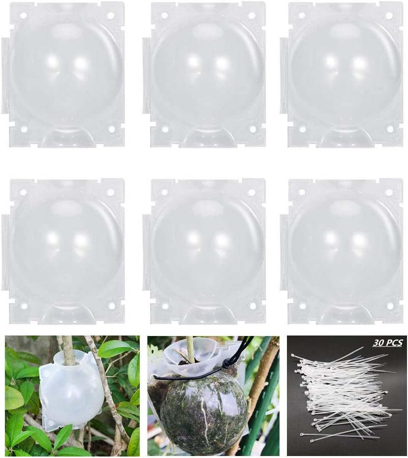 Amazon.com : Plant Root Growing Box 20 PCS, Reusable Rooting Ball for ...