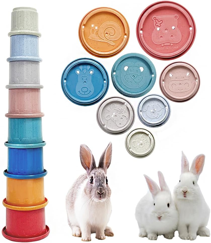 Amazon.com : Yanmucy 8 Pack Stacking Cups for Rabbits Colorful ...