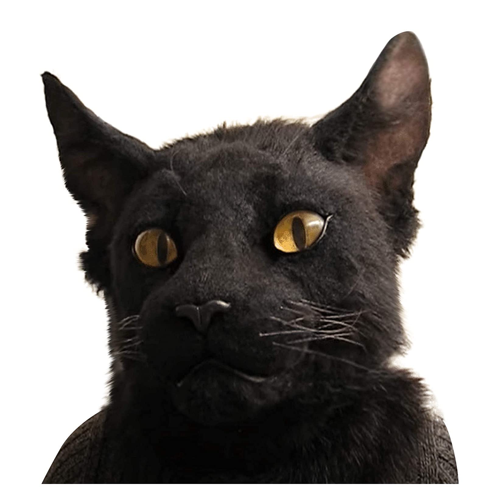 Buy Nsfuetre Halloween Lifelike s for Adults, Black Cat Animal Latex ...