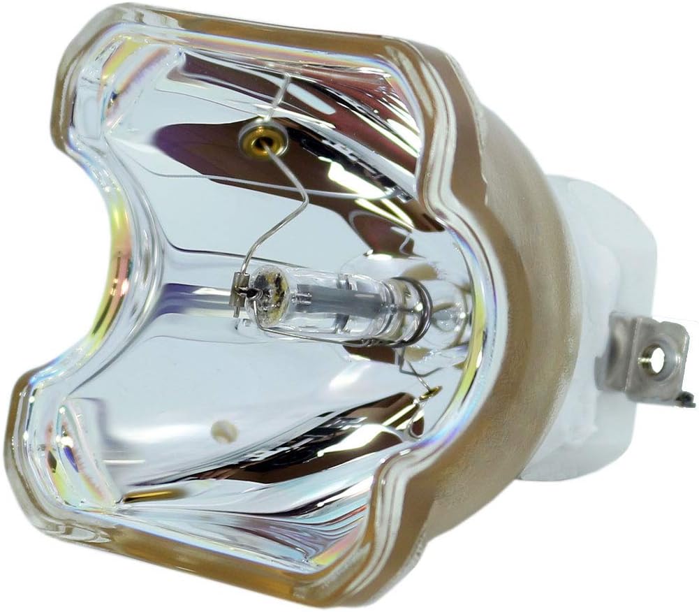 Lytio Economia para Hitachi DT00841 Projector Lamp (Apenas Bulb ...