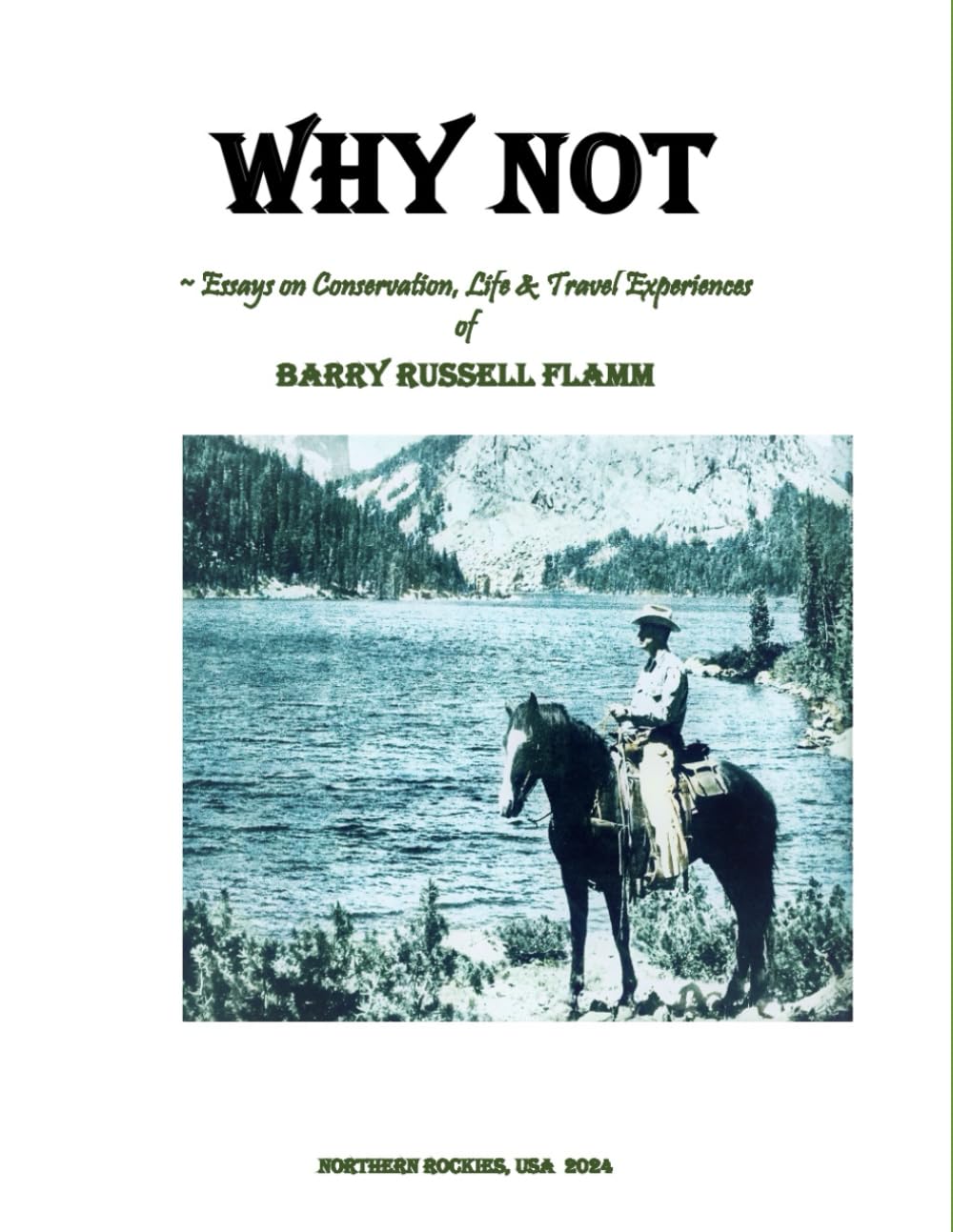 Amazon.com: WHY NOT: 9798218561482: Flamm, Dr. Barry R.: Books