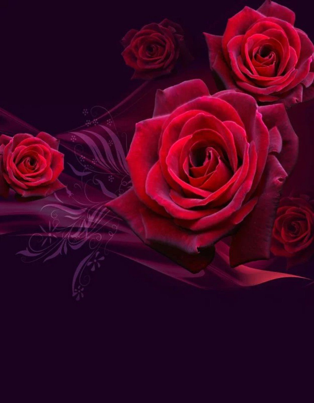 Rose Blumen Hintergrundbild Desktop