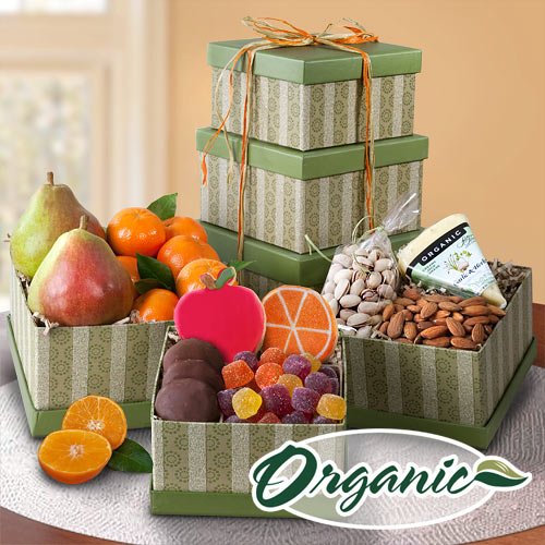 Amazon.com : Cascades Organic Fruit and Treats Tower : Gourmet Fruit ...