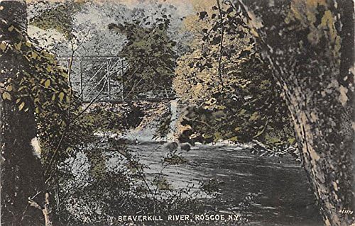 Beaverkill River Roscoe, New York, Postcard at Amazon's Entertainment ...
