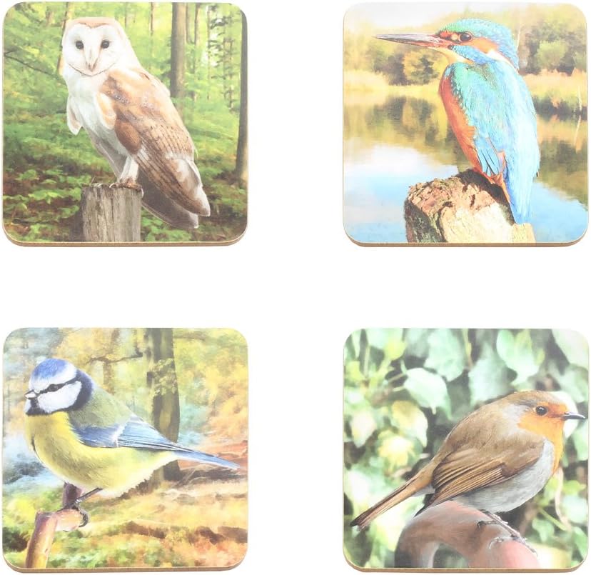 Amazon.com | The Leonardo Collection Bird Coaster Set of 4, Multi ...