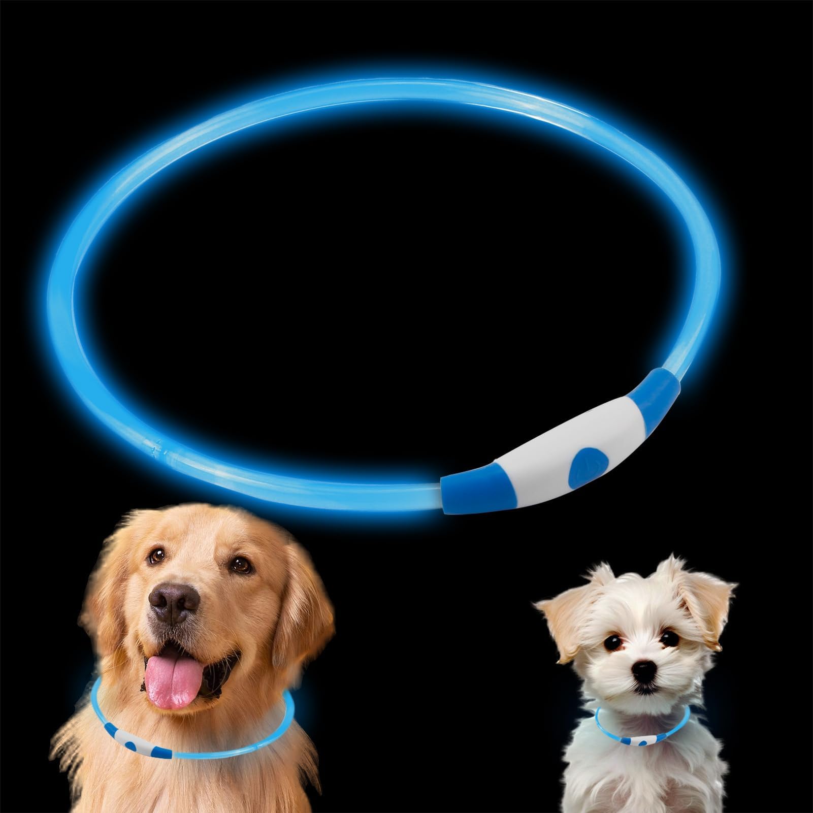 Light Up Dog Collar, LED Dog Collar Lights for The Dark Night Walking ...