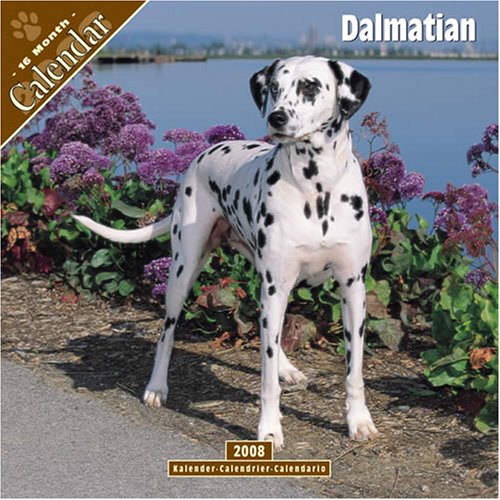Dalmatian 2008 Wall Calendar: Pet Prints: 9781846622748: Amazon.com: Books