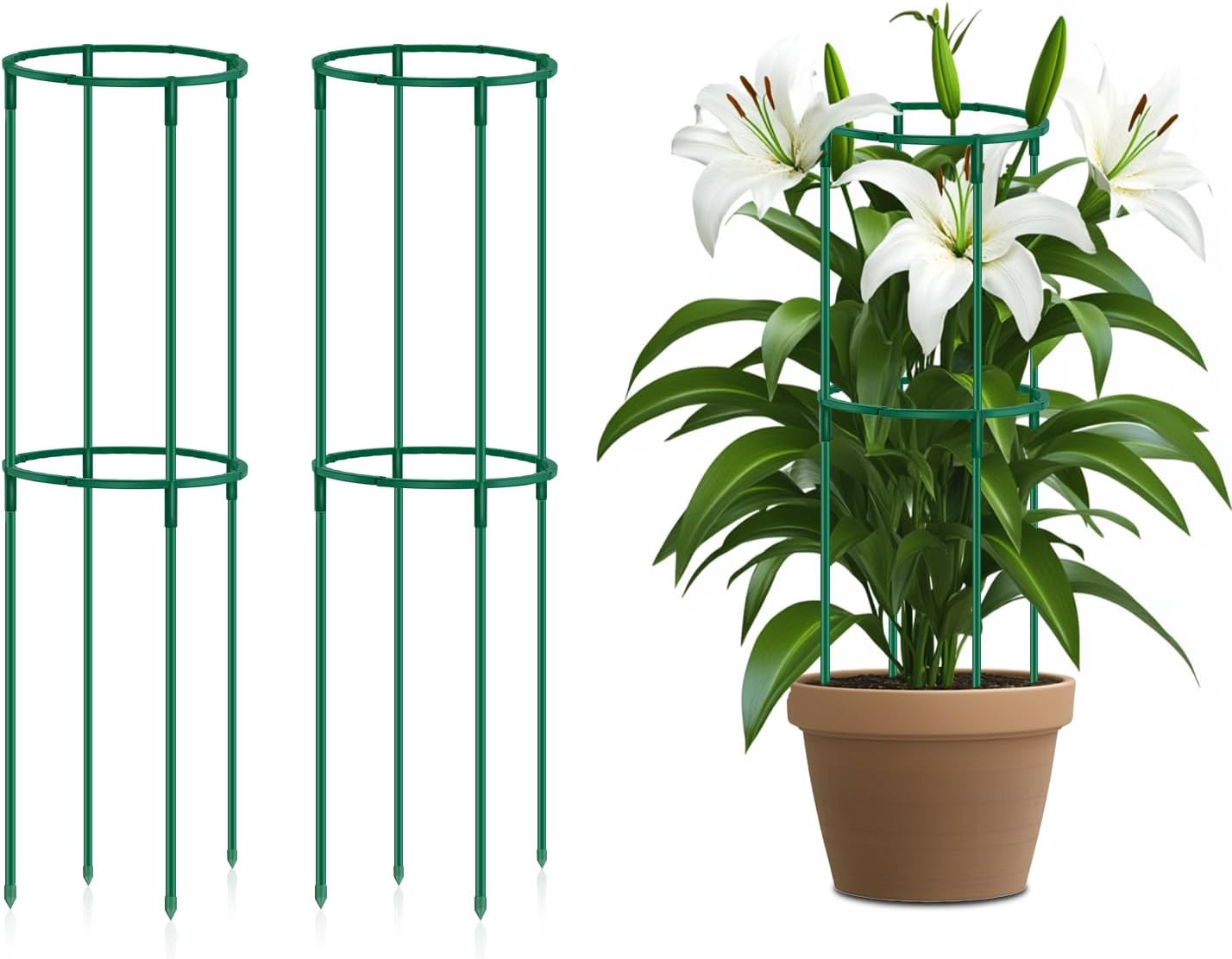 Amazon.com : Hanobo 5 Pack Garden Plant Support Rings for Potted Plant ...