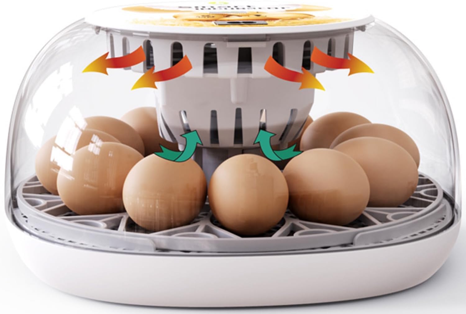 Premium Egg Incubator, Automatic Egg Hatching Incubator, 12 Eggs ...