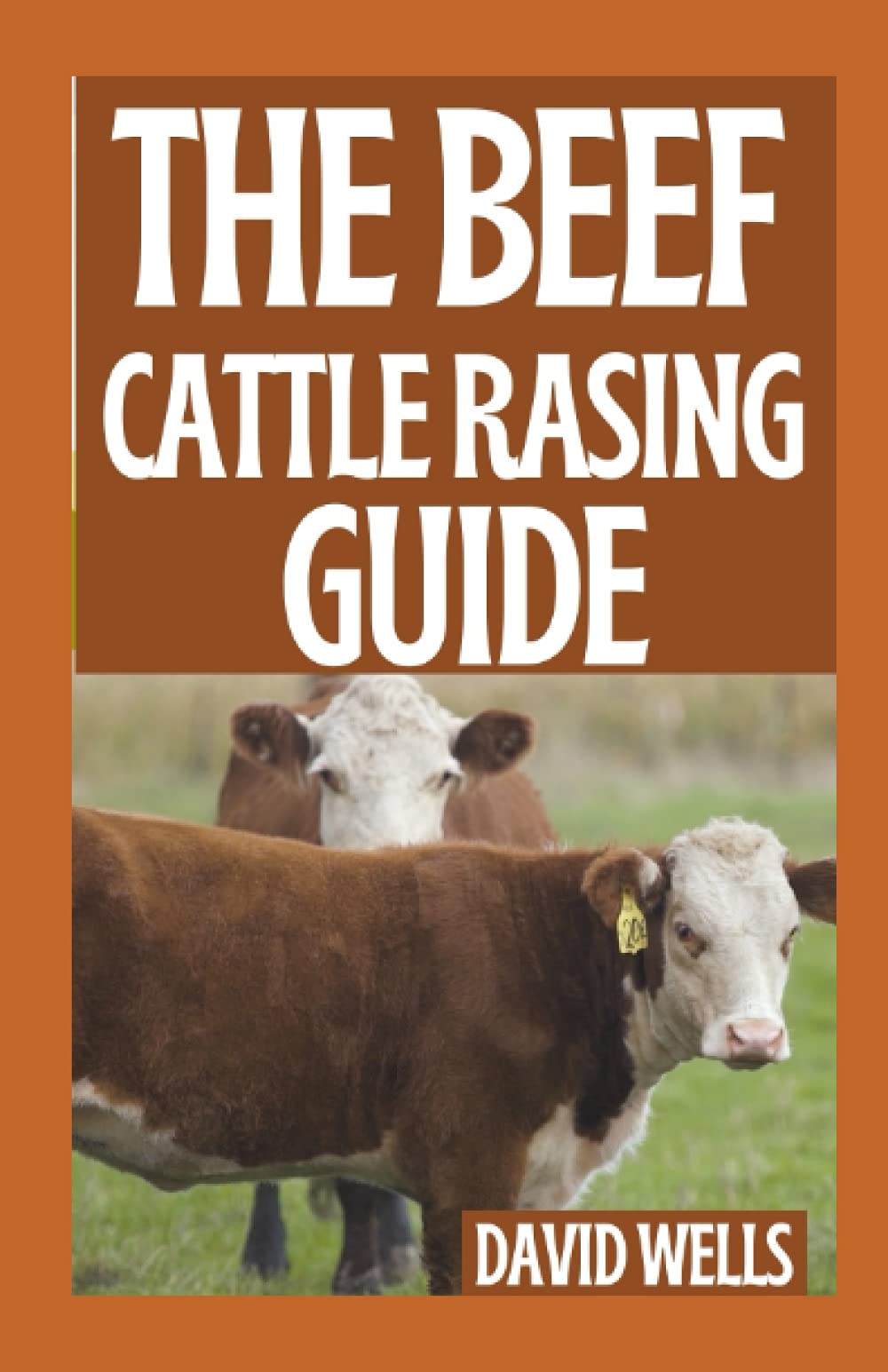 Buy The Beef Cattle Rasing Guide: The Ultimate Guide To Purchasing Cows ...