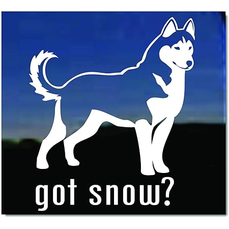 Amazon.com: Got Snow? NickerStickers® Siberian Husky Vinyl Window Auto ...