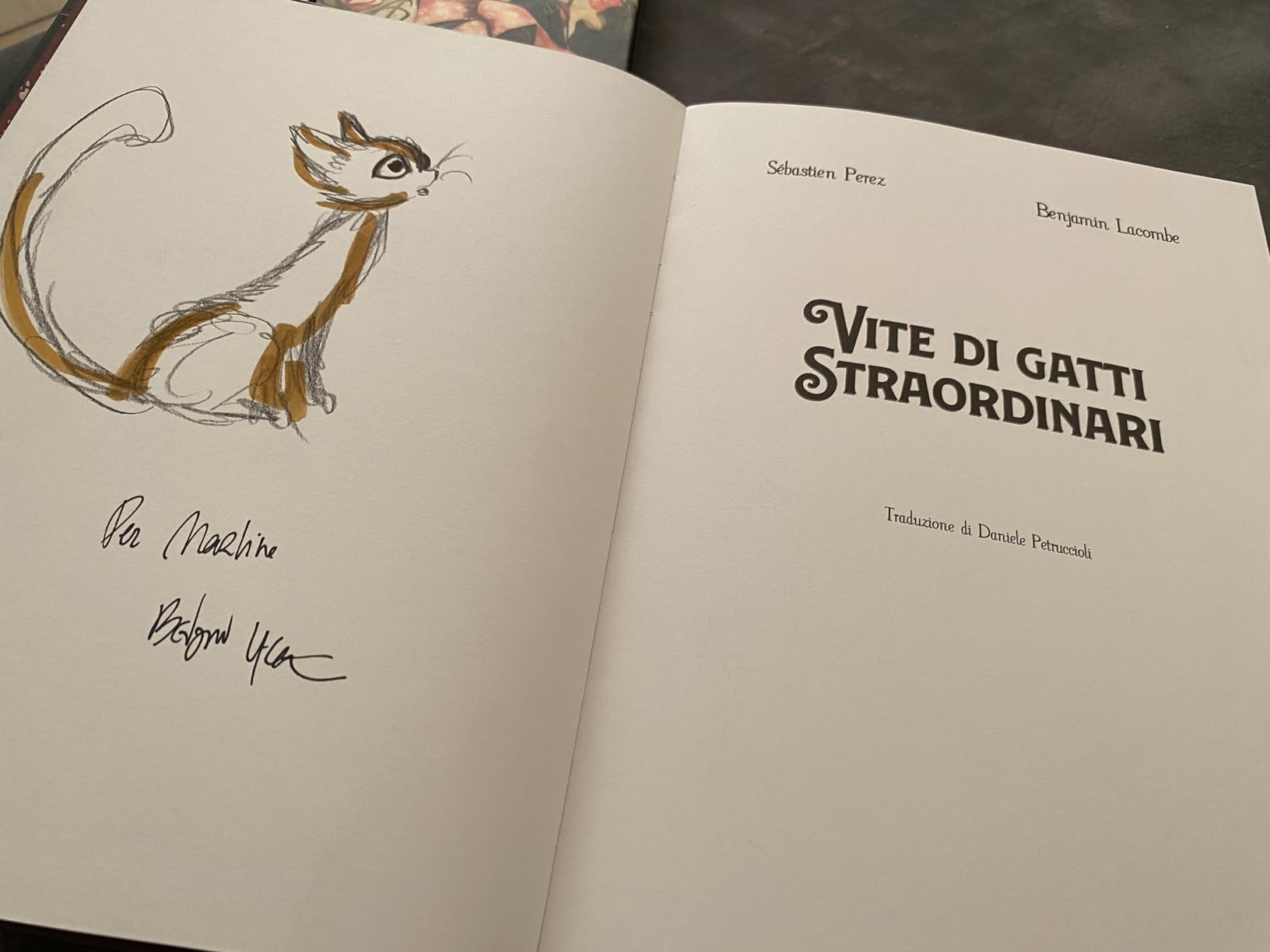 Vite di gatti straordinari : Perez, Sébastien, Lacombe, Benjamin ...