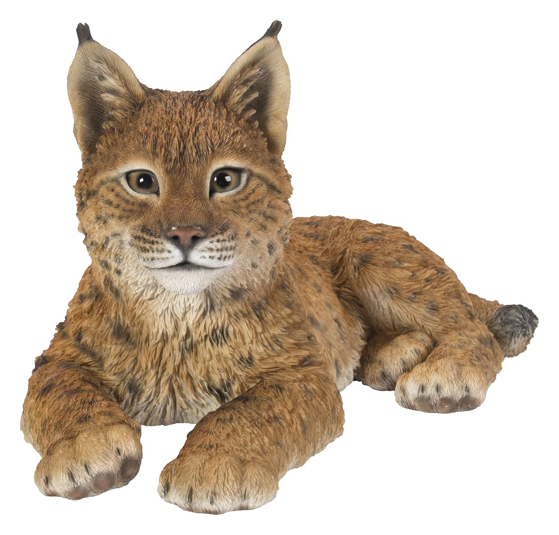 Vivid Arts - Real Life Like Laying Lynx - XRL-LYNX-A : Amazon.co.uk: Garden